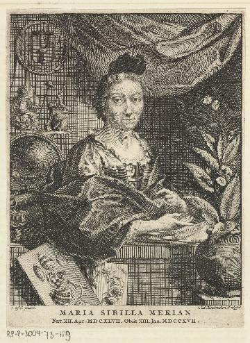 Merian's Metamorphosis of the Insects of Suriname | Vintage Art
