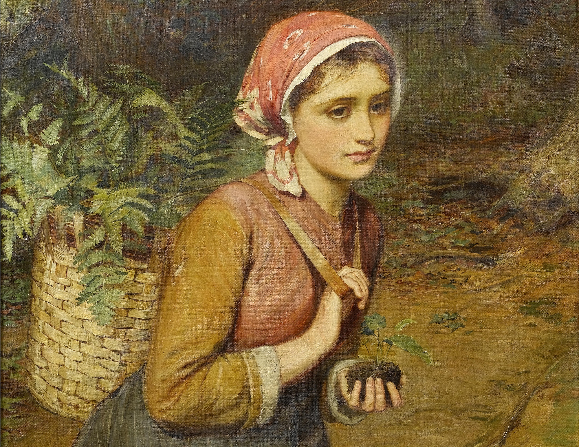 An Obsession with Natural History and Victorian Collecting Crazes